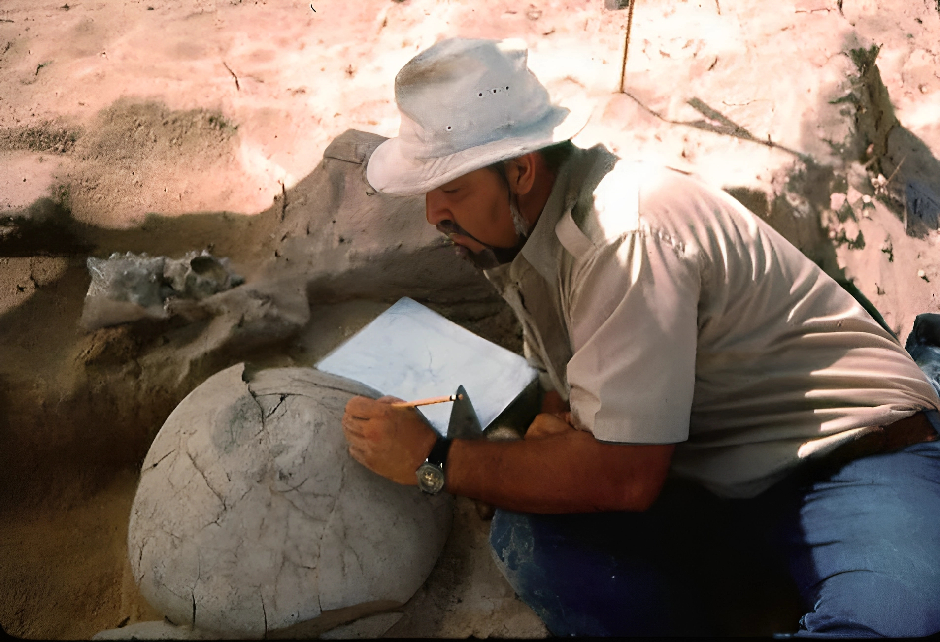 Biografía – Miguel Rodríguez López · Arqueólogo
